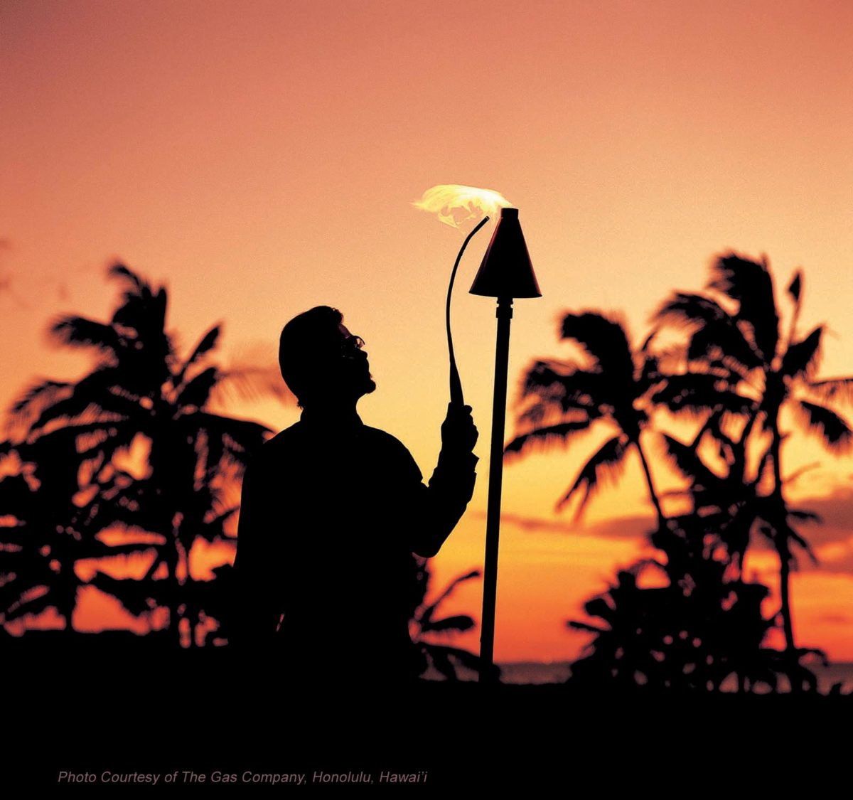 Tiki Torches - Tiki Torches from Hawaii | Resort Quality Tiki Torches